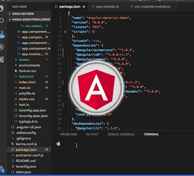 Angular Course in Delhi | Angular Training Institute in Rohini