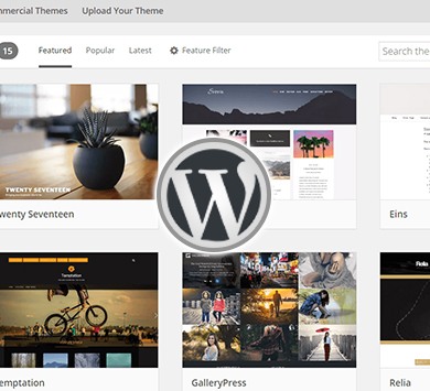 WordPress course in Delhi | WordPress development course